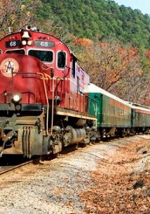 Moostash Joe Tours | Premier Tour Company