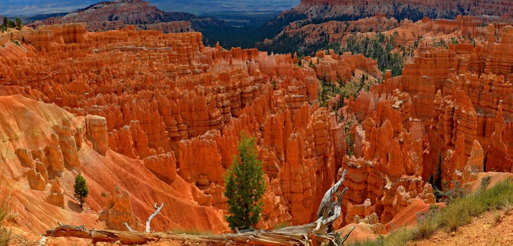 Moostash Joe Tours | Premier Tour Company