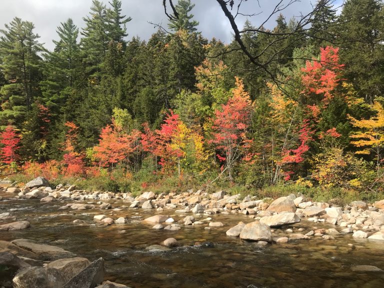 bus tours from Nebraska | Moostash Joe Tours