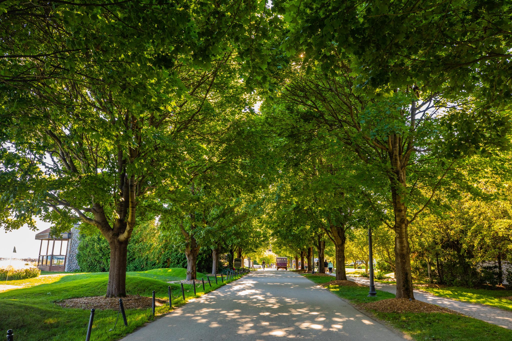 bus tours from Nebraska | Moostash Joe Tours