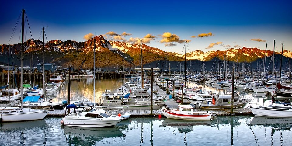 Moostash Joe Tours | Premier Tour Company